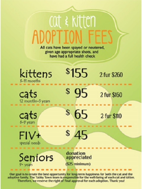 Tabby Town | Adoption Fees